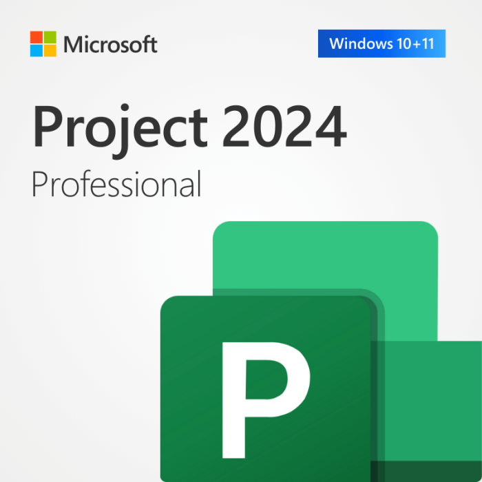 LICENCIAS OFFICE: Licencia Project Pro 2024 para 1 PC (Reinstalable)